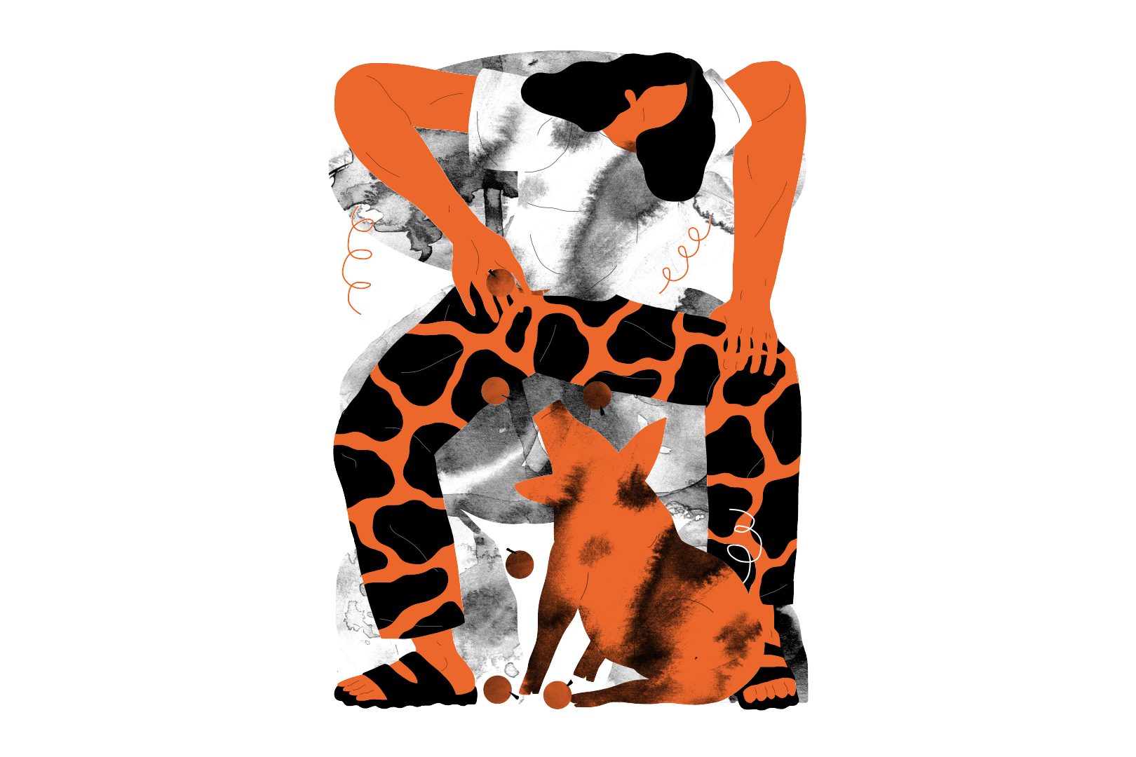 Issue 12 - The Fence